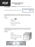 Magnification Worksheet | PDF | Units Of Measurement | Teaching Mathematics