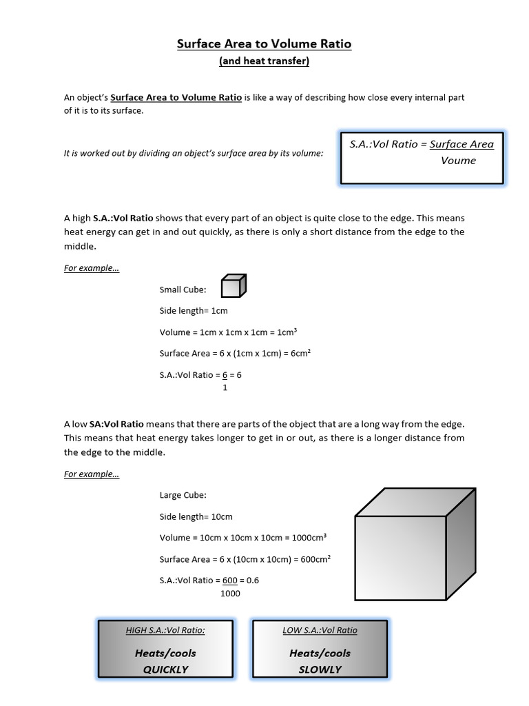 surface_area_to_volume_ratio_worksheet | PDF | Surface Area | Applied ...