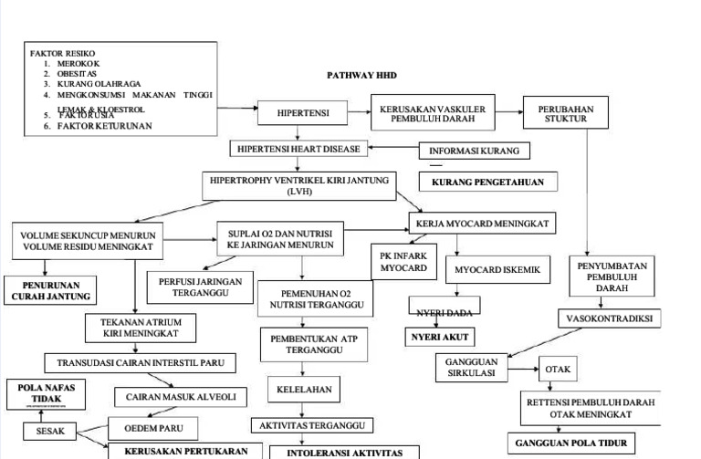 Pdf Pathway Hhd Compress Pdf