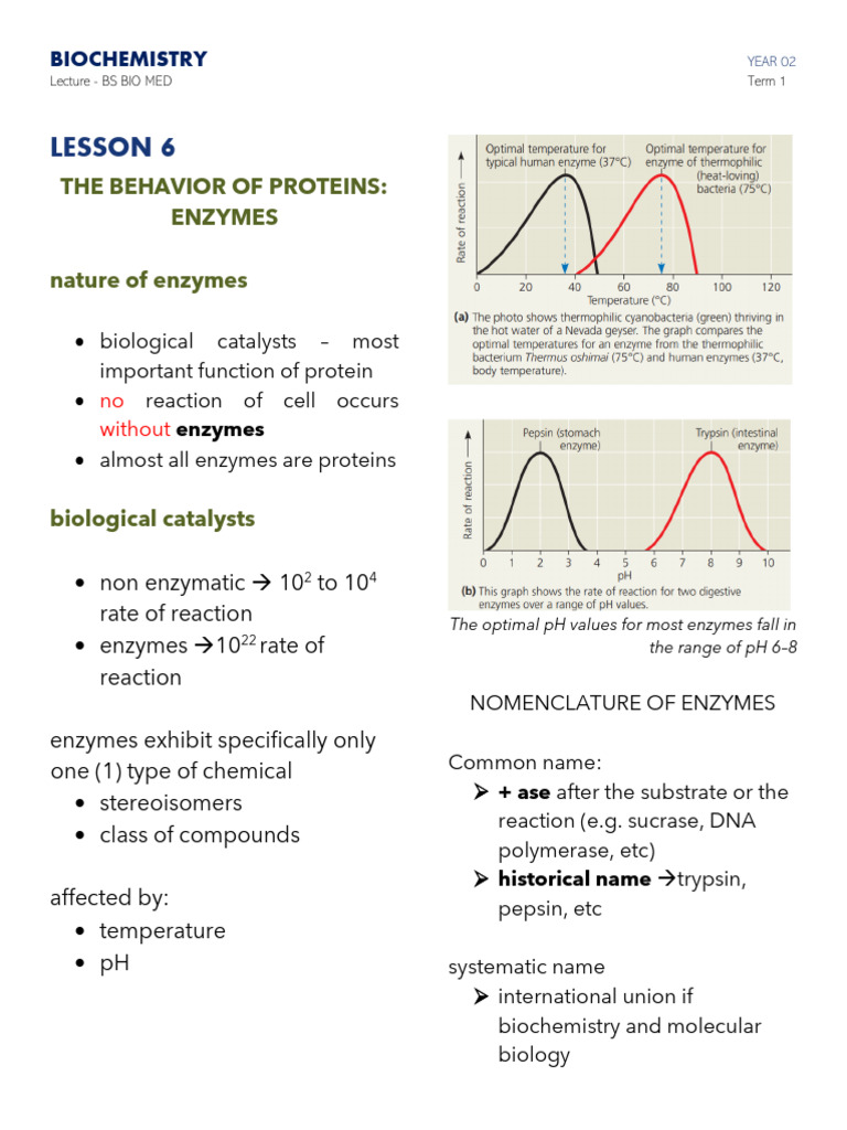 Lesson 6 Enzyme | PDF | Enzyme | Enzyme Inhibitor