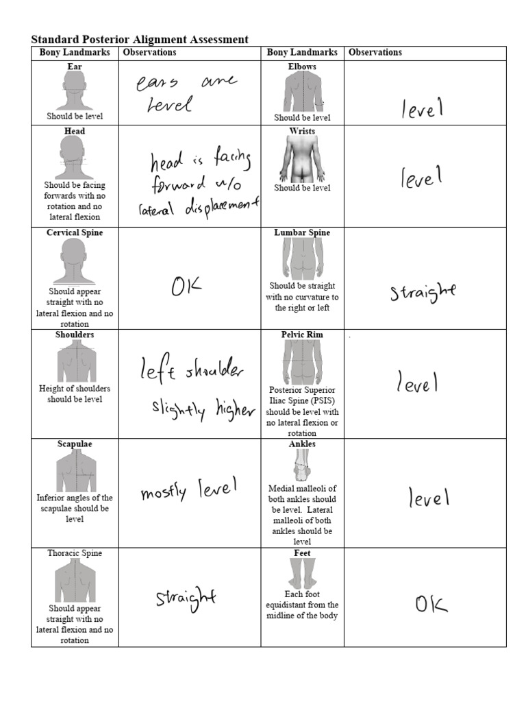 Postural Analysis | PDF | Pelvis | Anatomical Terms Of Motion
