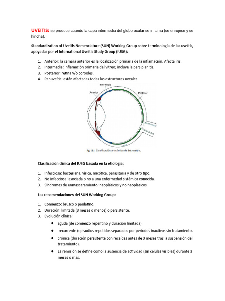 UVEITIS | PDF | Inflamación | Visión