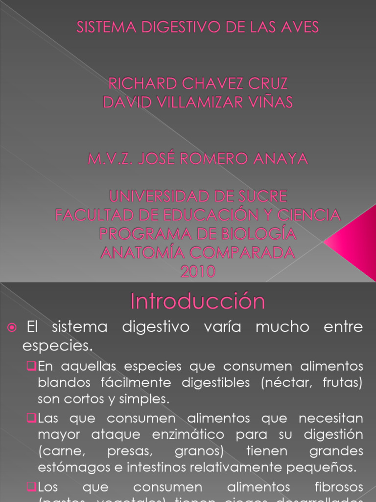 Sistema Digestivo de Las Aves 1285897412 Phpapp02 | Descargar gratis PDF | Digestión | Sistema ...