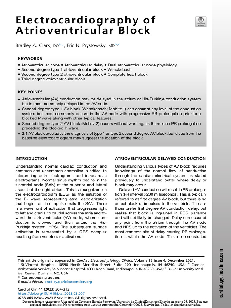 Electrocardiography of Atrioventricular Block | PDF ...