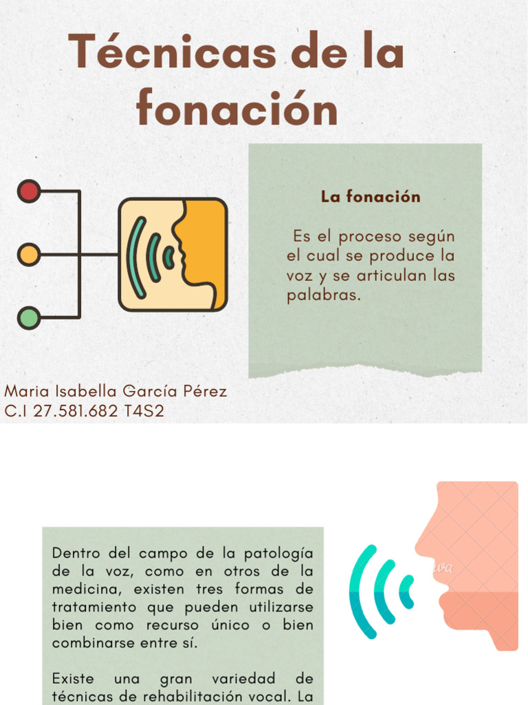 Tecnicas de La Fonacion | PDF