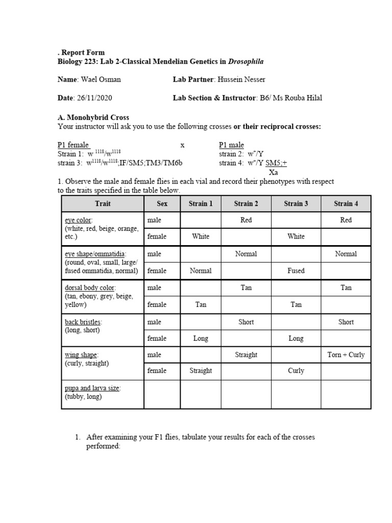 Drosophila Lab Report | PDF | Statistical Significance | P Value