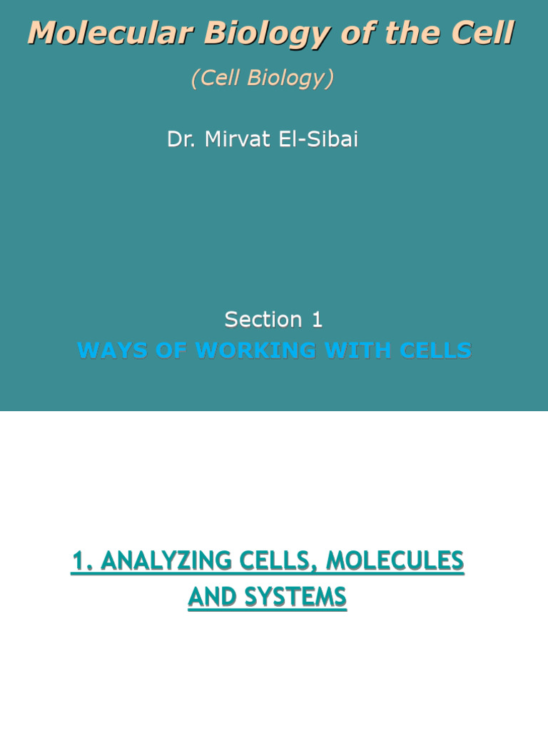 1-Analyzing Cells Molecules and Systems | PDF