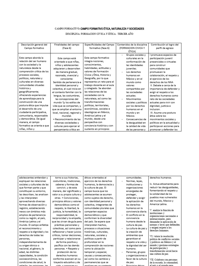 Plan Analitico Fce 3... | PDF