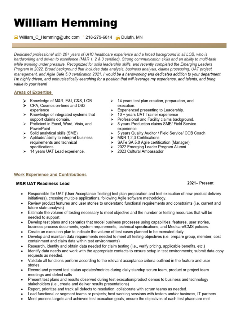 William Hemming 2023 | PDF | Software Testing | Business