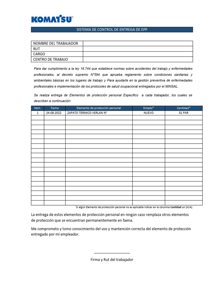 Registro de Entrega de EPP | PDF | Tecnología
