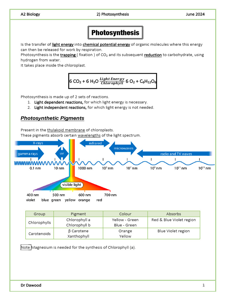 CH 2 - Photosynthesis | Download Free PDF | Photosynthesis | Chloroplast