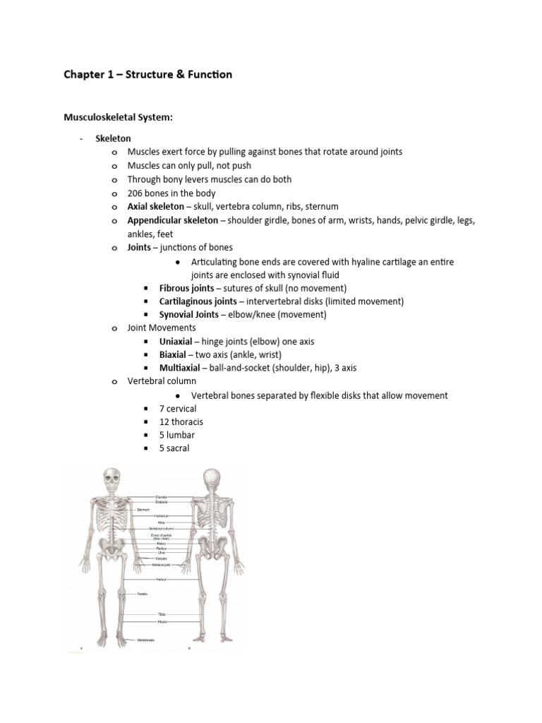 Chapter 1 - Structure and Function | PDF | Muscle Contraction ...
