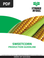 f3 Geography Simplified Notes SP | PDF | Erosion | River