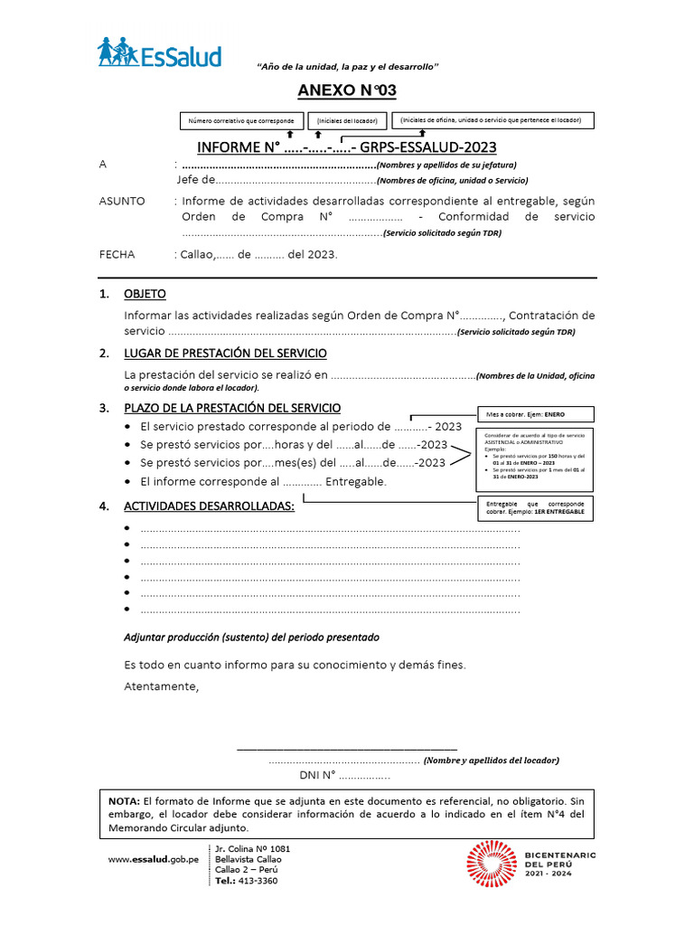 Anexos 03 - Instructivo | PDF