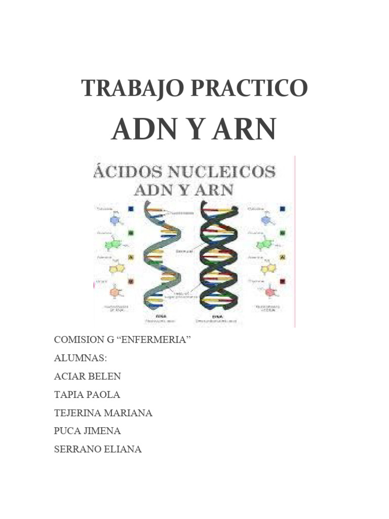 ADN Y ARN | PDF | Rna | Adn