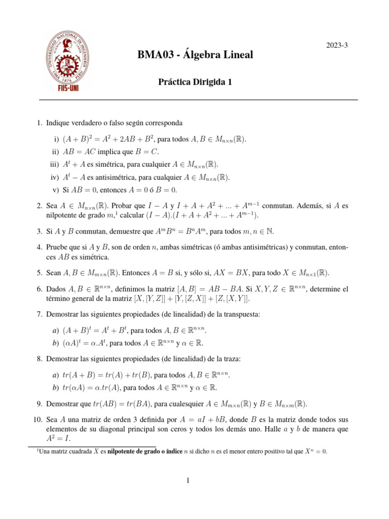 Verano Practica Dirigida 1 | PDF | Matriz (Matemáticas) | Determinante