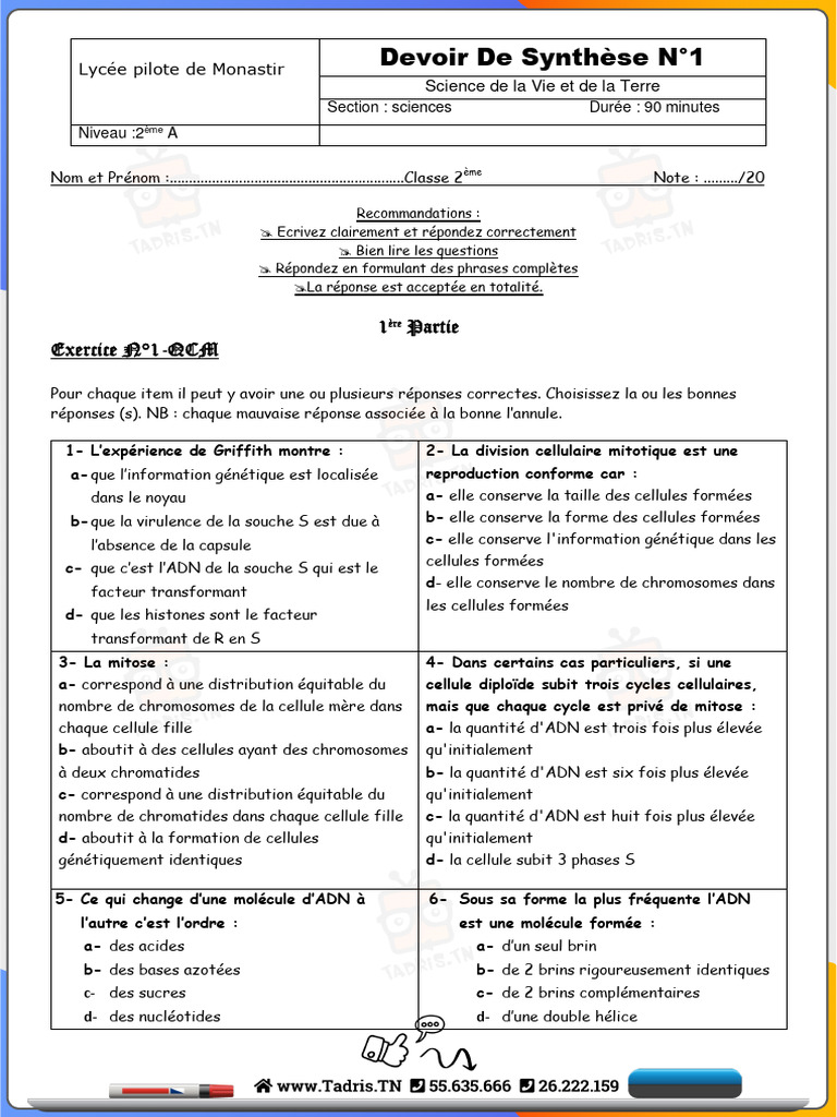 Devoir de Synthèse N°1 2023 2024 (Tadris - TN) (216.55.635.666) 2s SC | PDF | Chromosome | Mitose