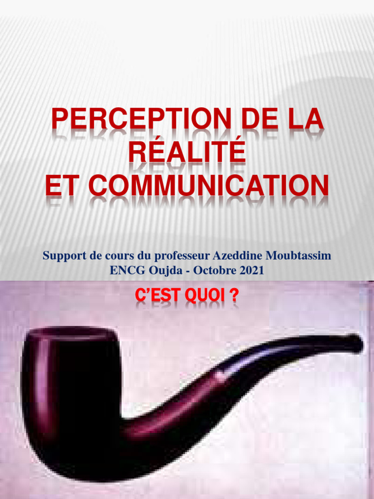 Perception de la réalité et communication | PDF | la perception | la ...