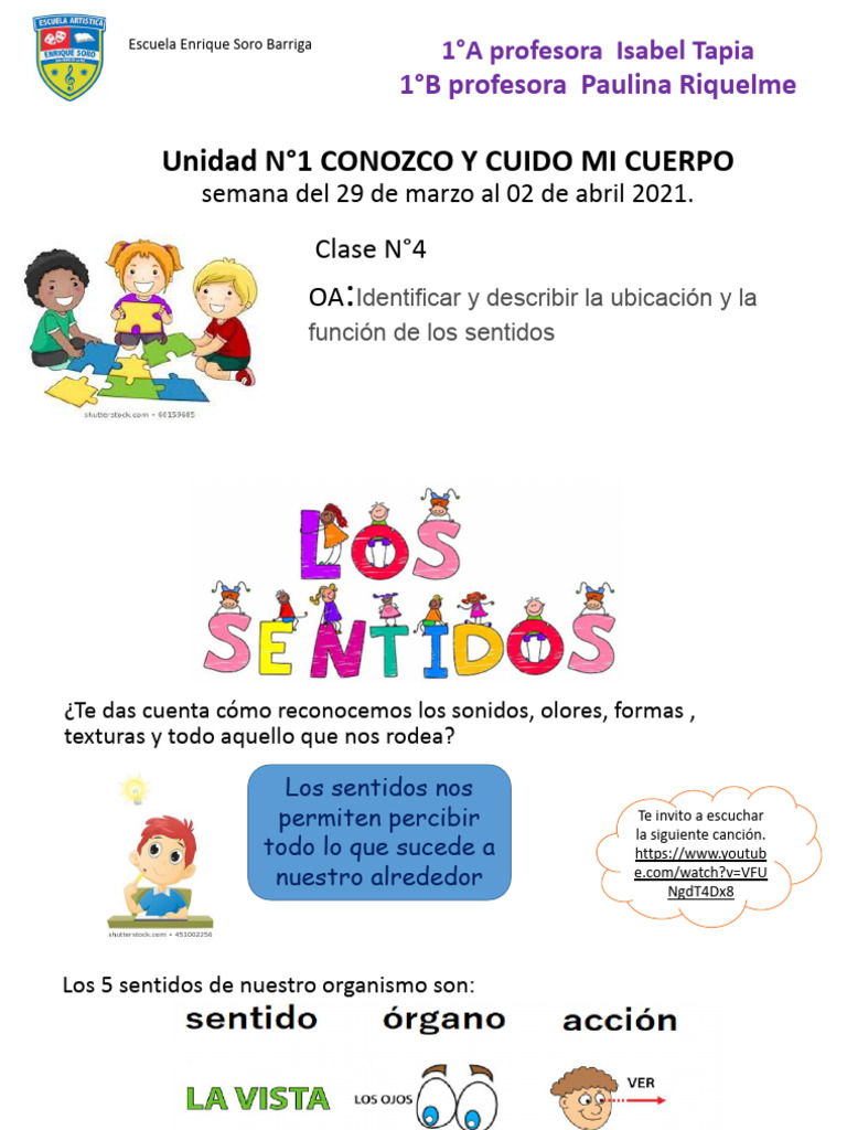 Ciencias Naturales 1° Básico (Órganos de Los Sentidos) | PDF | Gusto