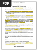 Cocori Libro Completo | PDF