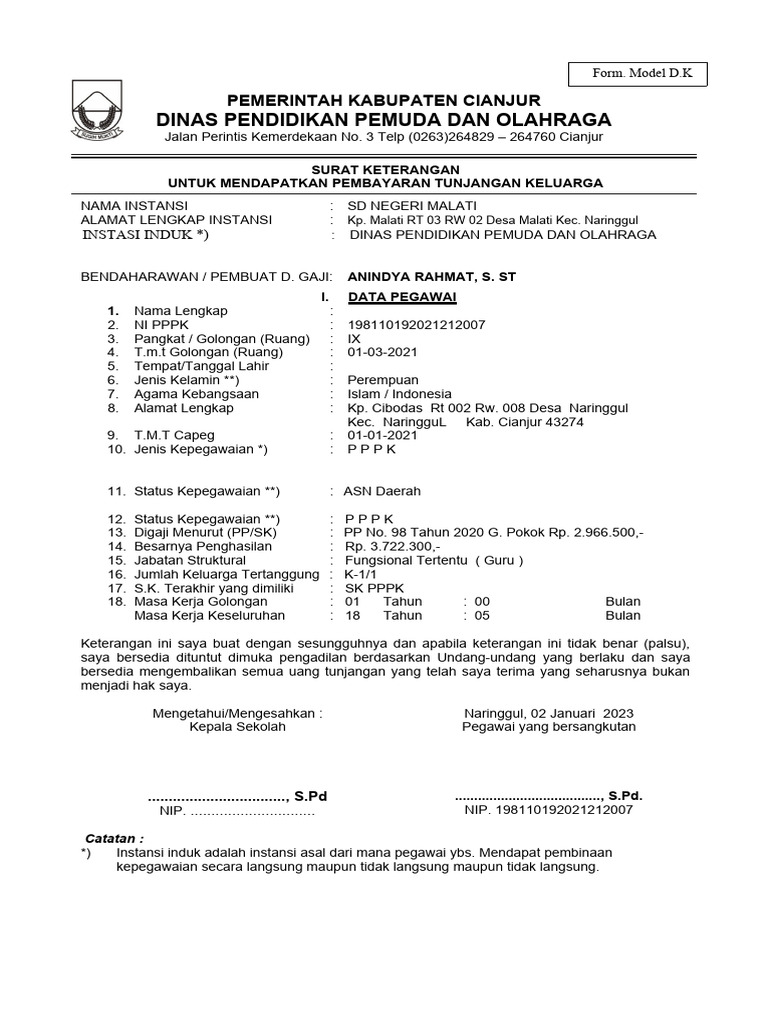 Panduan Pengisian SKUMPTK PPPK | PDF