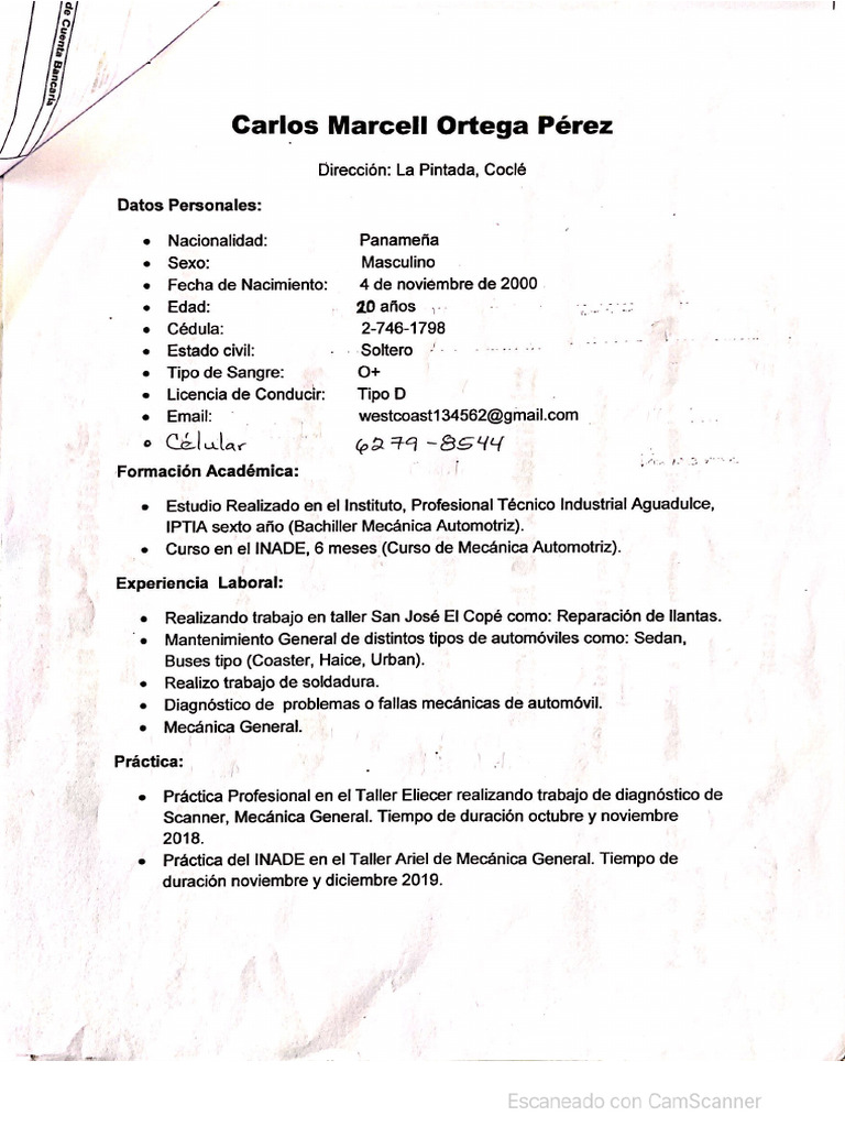 Carlos Marcell Ortega MECANICO | PDF