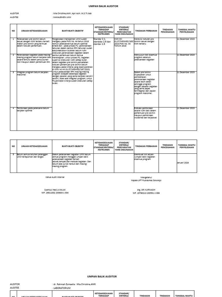 Umpan Balik Audit | PDF