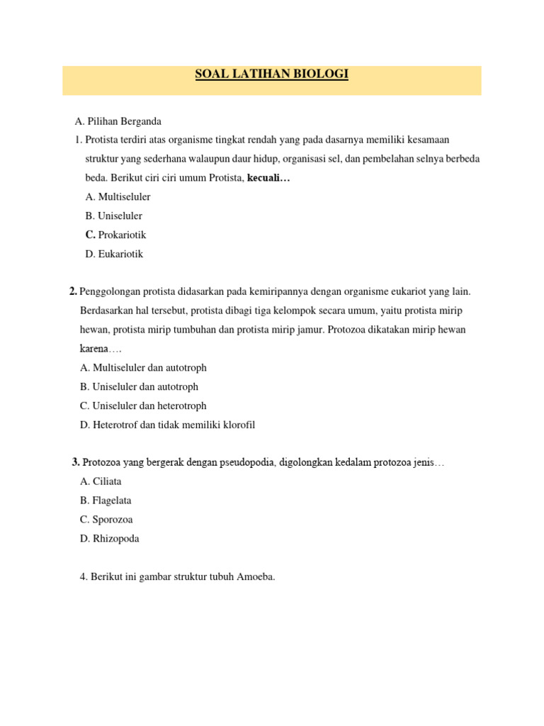 SOAL LATIHAN - Protista - Netty MS | PDF