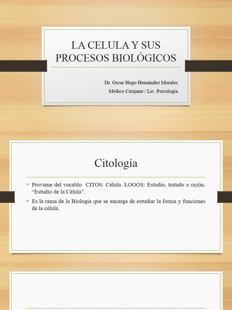 La Celula y Sus Procesos Biológicos | PDF | Citoplasma | Biología Celular)