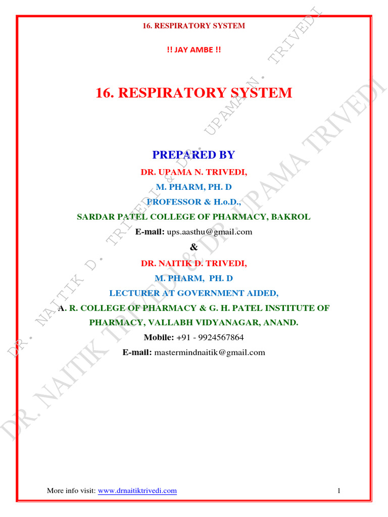 Respiratory System Pdf Respiratory Tract Lung
