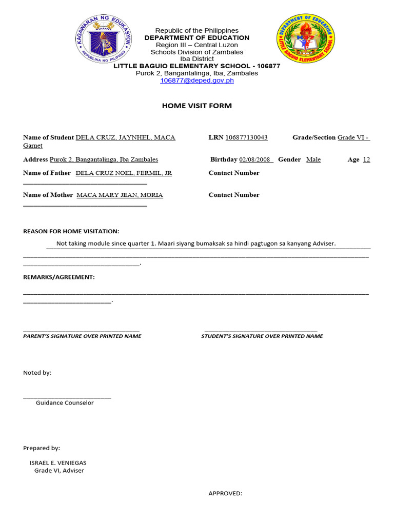 home visit form | PDF