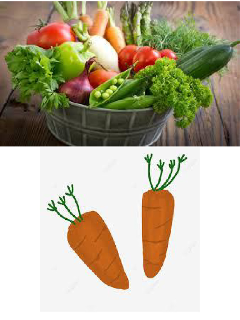 Verduras Pdf