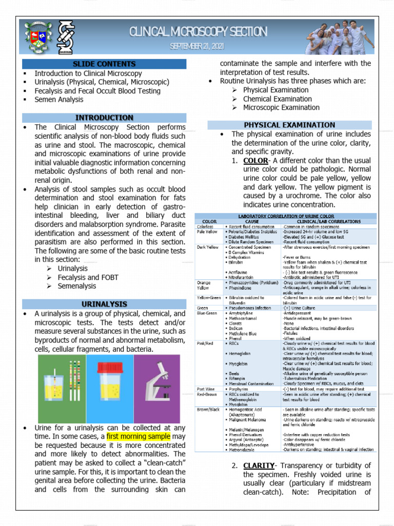 Clinical Microscopy Overview and Tests | PDF | Kidney | Urine