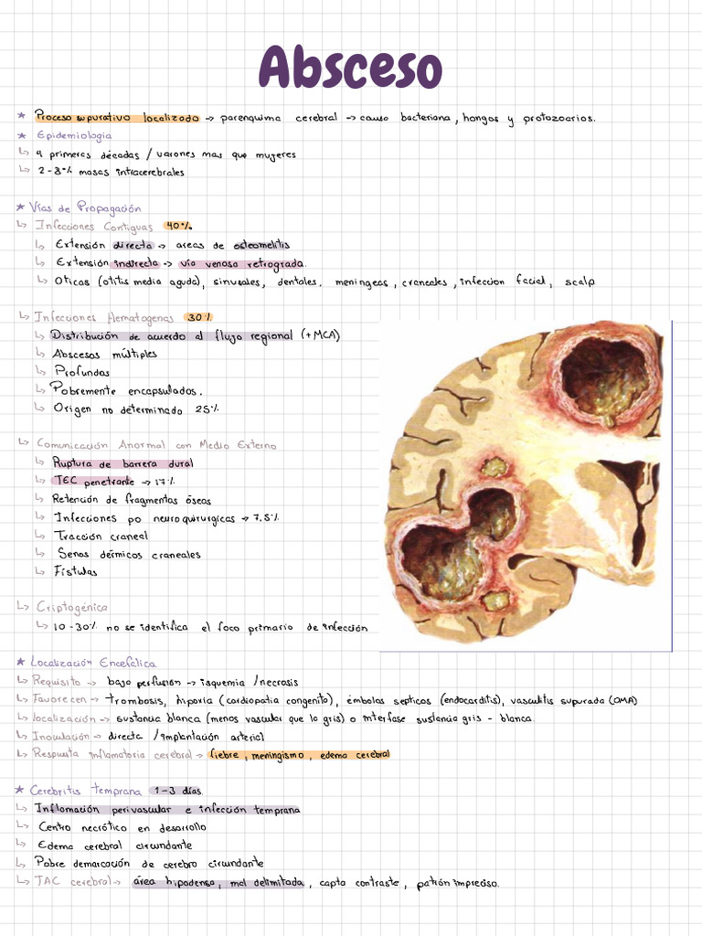 Absceso Cerebral: Causas y Tratamiento | PDF | Inflamación | Cerebro