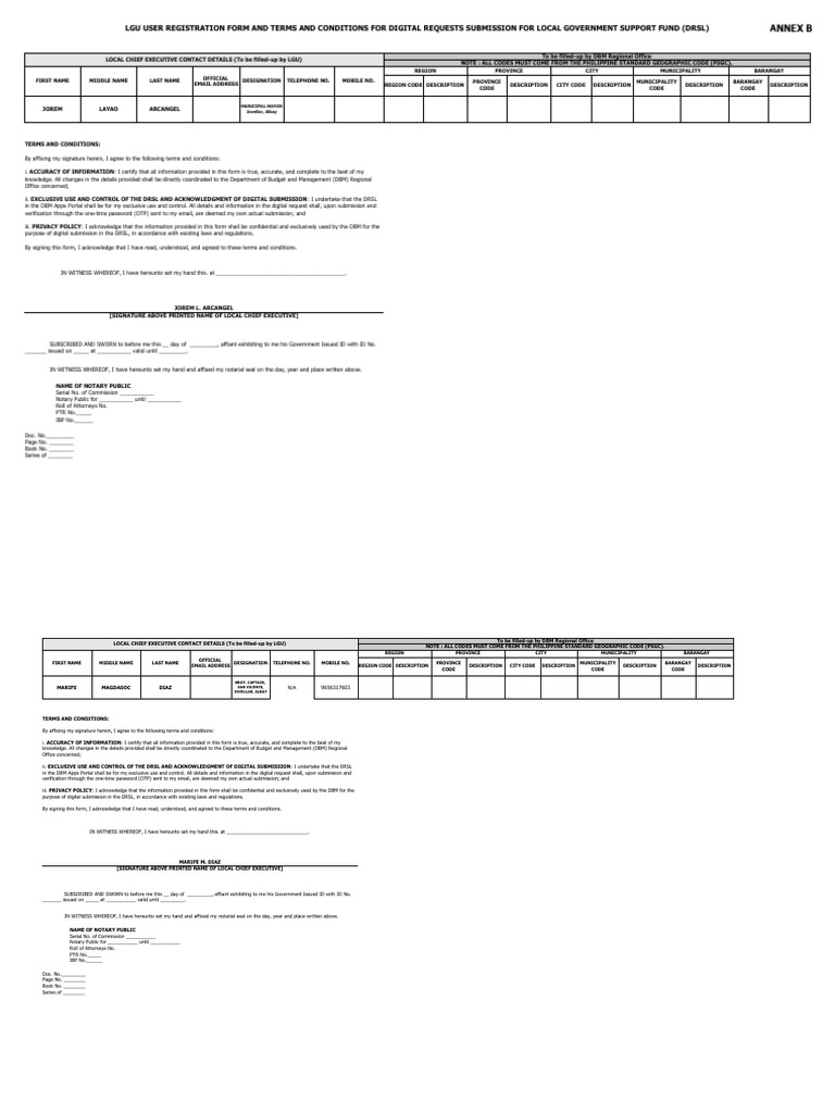 ANNEX-B-LGU-User-Registration form-DBM | PDF