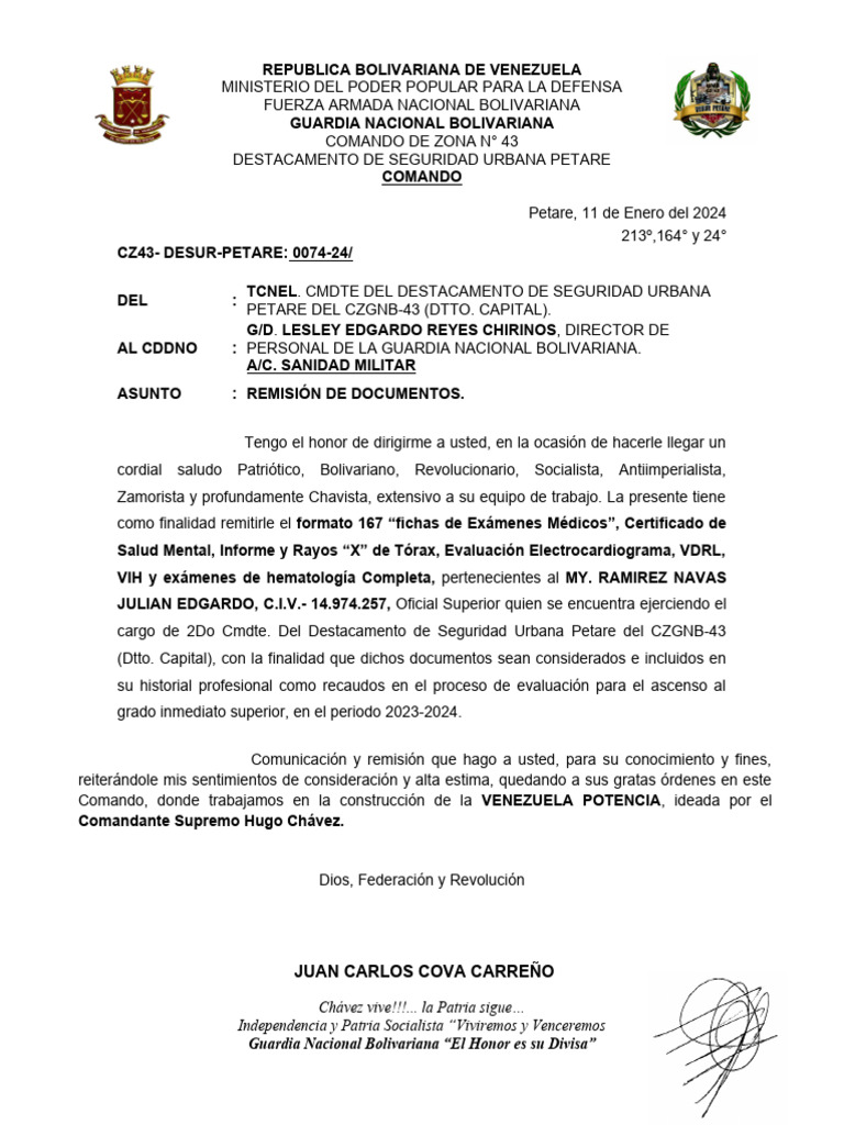 Formato De Remision De Documentos
