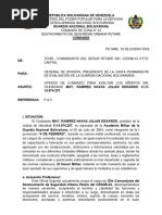 Guía 10 Diligenciamiento Electrónico Del Formulario 3003 | PDF | Derecho