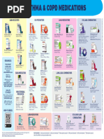 NAC Asthma COPD Medications Chart 2022 - A4 - Web | PDF | Medicine ...