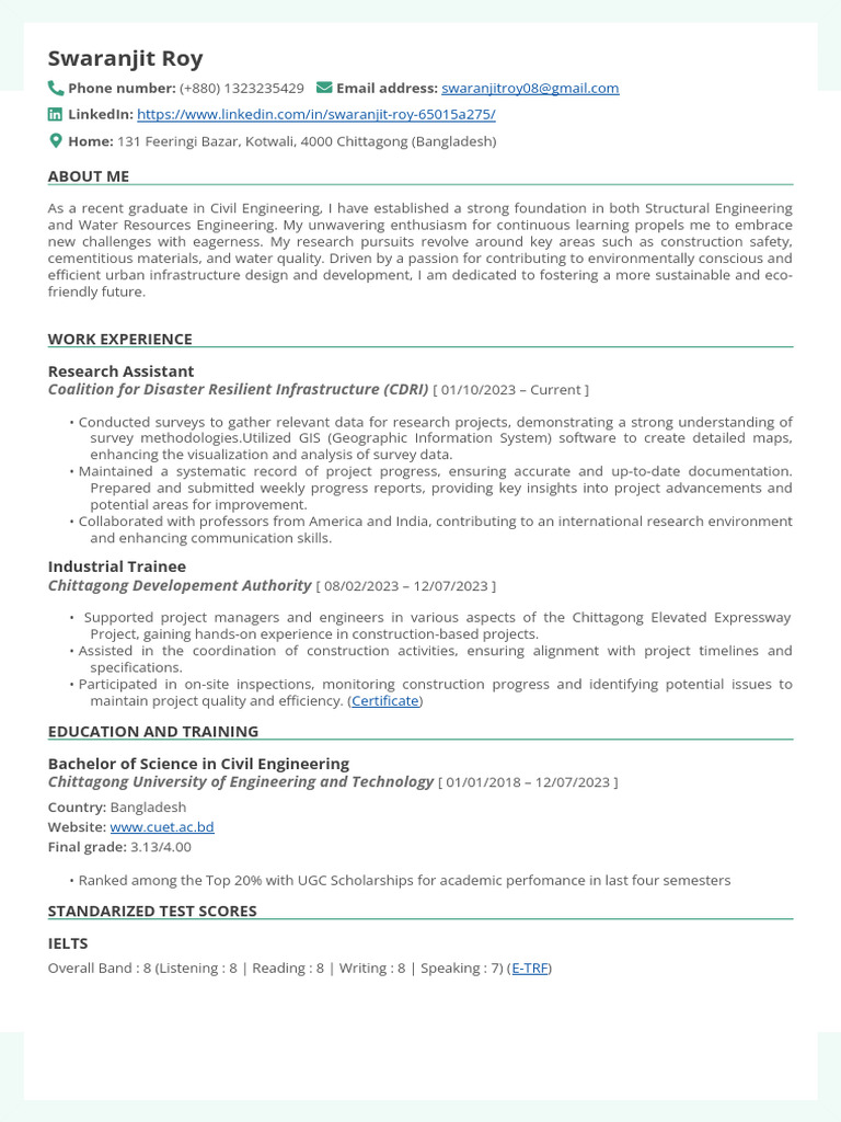 CV Construction | PDF | Geographic Information System | Engineering