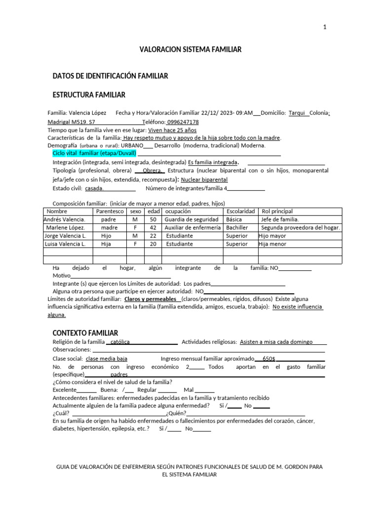 Valoracion Familiar | PDF | Comunicación | Dormir