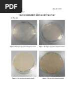 03 Univocal Equivocal Analogous Terms . | PDF | Anatomical Terms Of ...