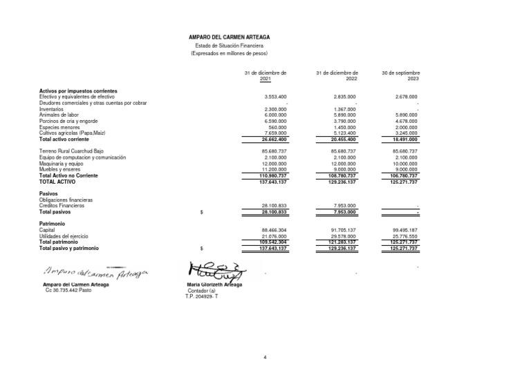 Modelo Eeff Pymes | PDF