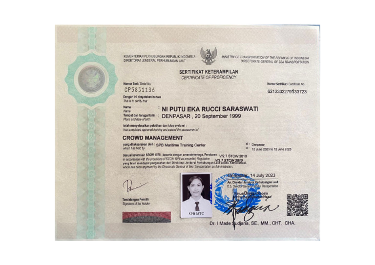 Crowd Management | PDF