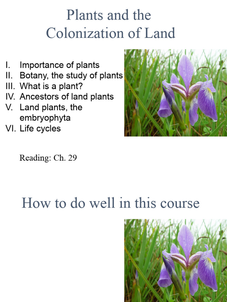 Biol 1011 Plants Lecture 1 Brightspace | PDF | Botany | Organisms