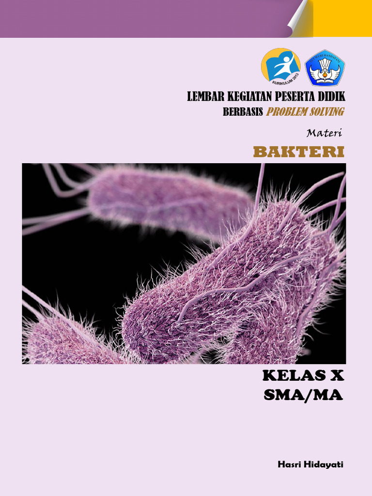 LKPD PS Baru 1 | PDF