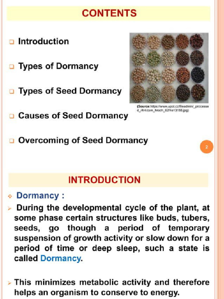 Seed Dormancy | PDF