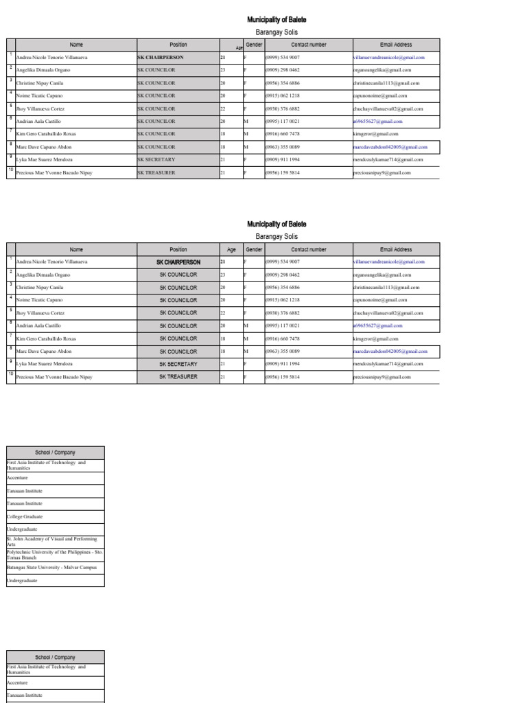 SK Profiling Solis | PDF