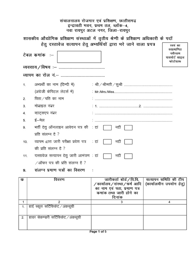 DVC Format and Verification Guide | PDF