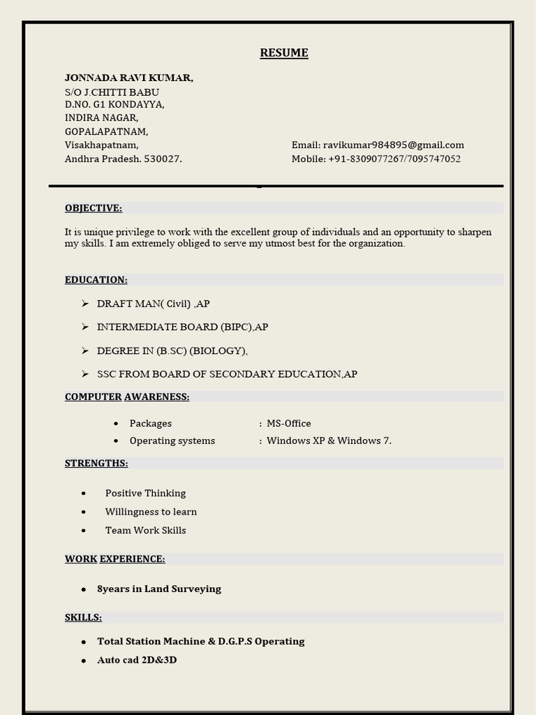 Resume RAVIKUMAR | PDF