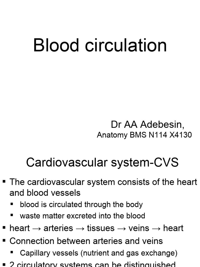 Blood Circulation | PDF | Vein | Artery